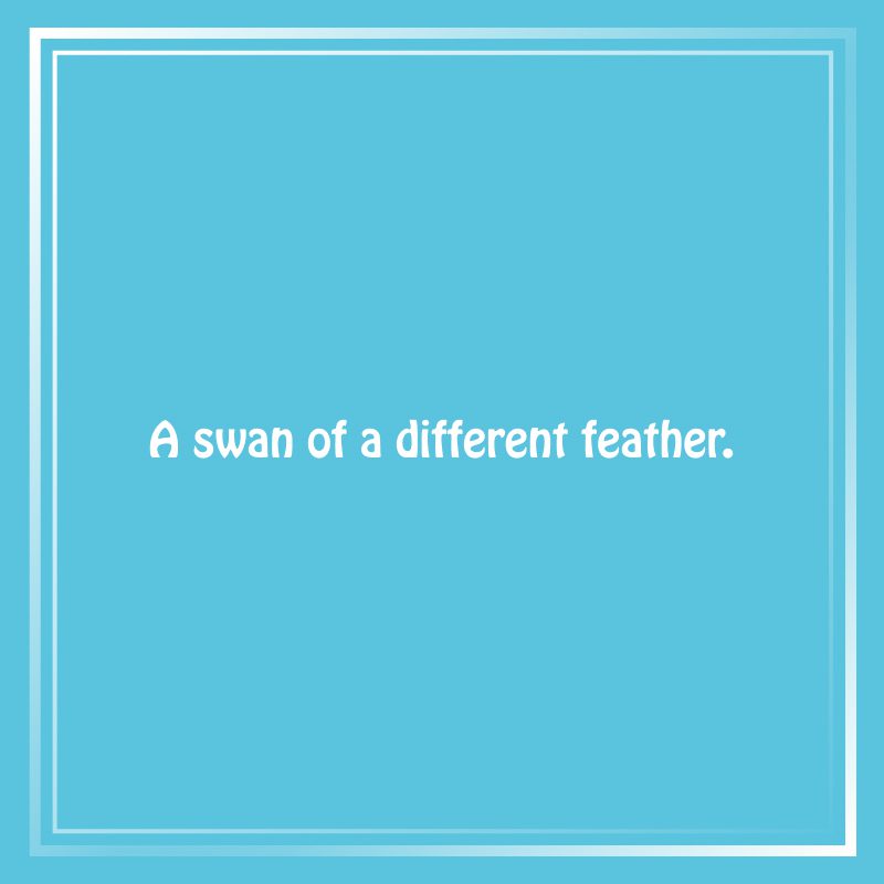 Quack Up with Swan-did Humor: Puns, Jokes, Quotes, and More! - Punopolis