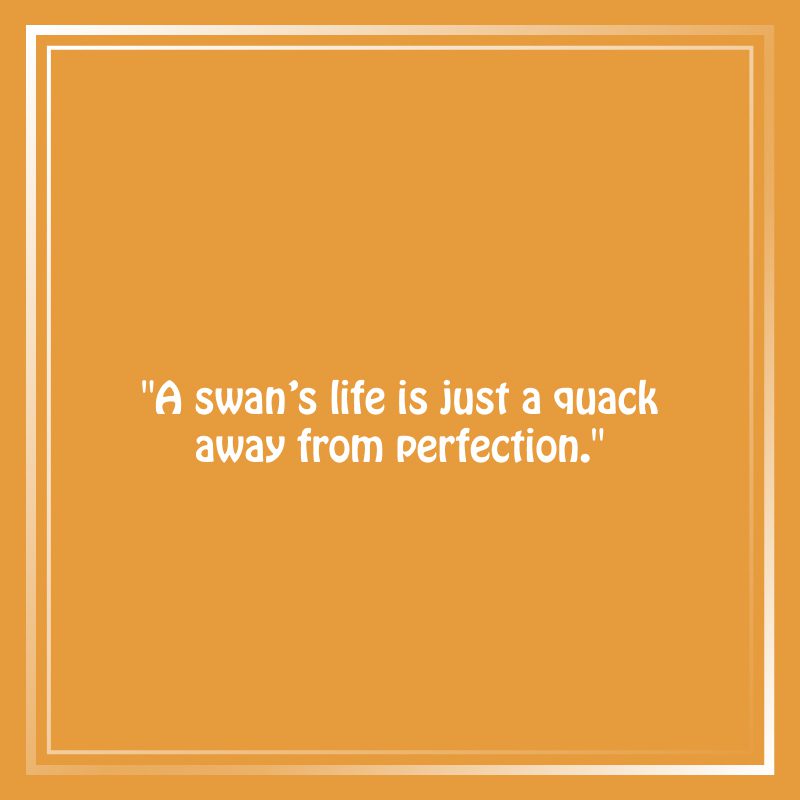 Quack Up with Swan-did Humor: Puns, Jokes, Quotes, and More! - Punopolis