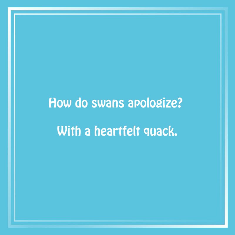 Quack Up with Swan-did Humor: Puns, Jokes, Quotes, and More! - Punopolis