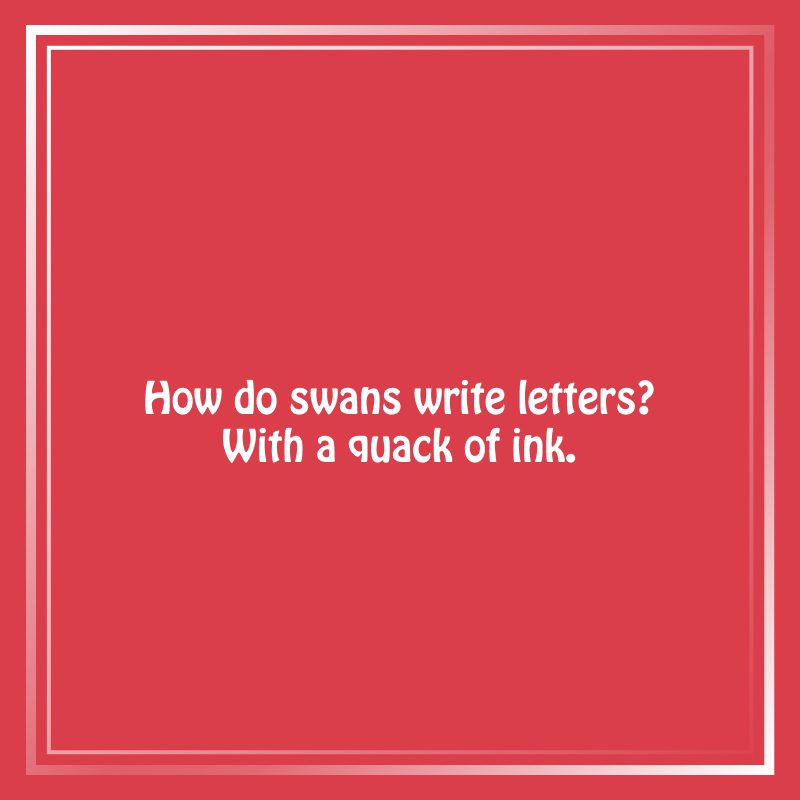 Quack Up with Swan-did Humor: Puns, Jokes, Quotes, and More! - Punopolis