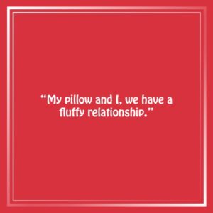 Pillow Talk: The Funniest Puns, Jokes, and Quotes to Fluff Up Your Day ...