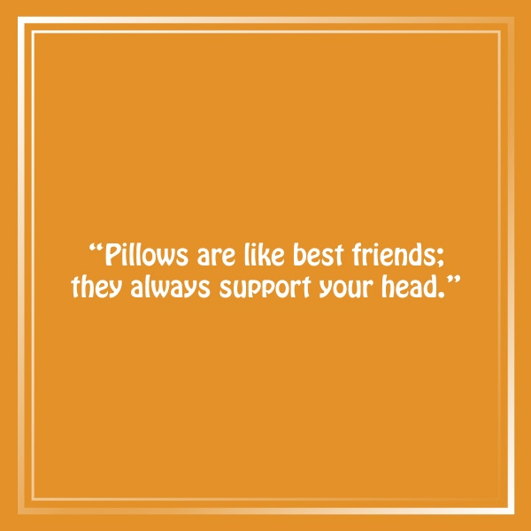 Pillow Talk: The Funniest Puns, Jokes, and Quotes to Fluff Up Your Day ...