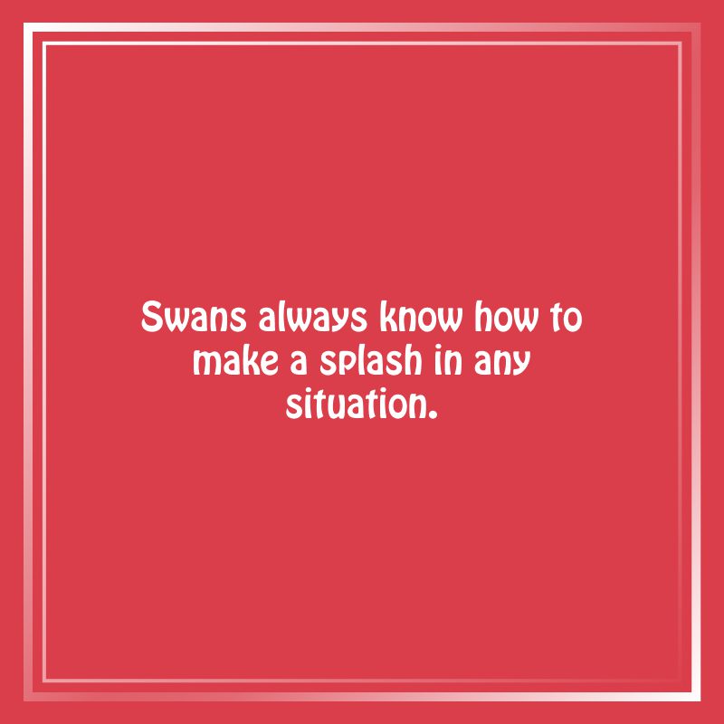 Quack Up with Swan-did Humor: Puns, Jokes, Quotes, and More! - Punopolis