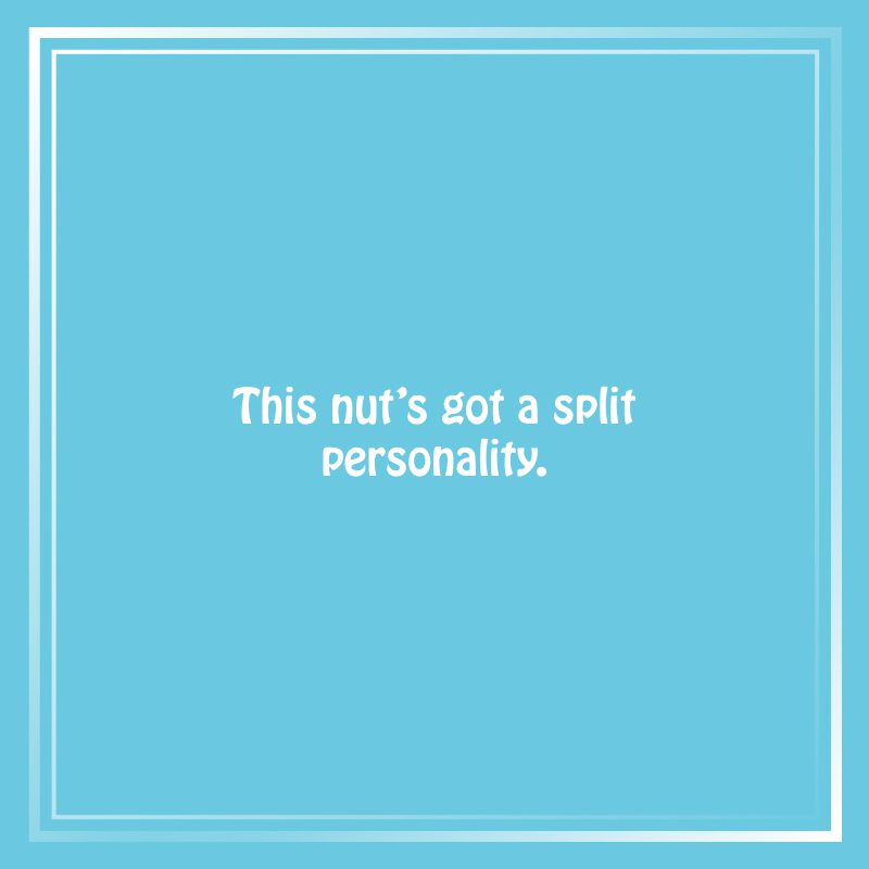Going Nuts: The Ultimate Pistachio Puns Collection - Punopolis