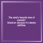Windy Whispers: Puns, Jokes, and Breezy Humor - Punopolis