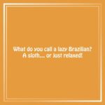 Carnival of Laughs: Brazilian Puns and Jokes to Samba Your Day - Punopolis