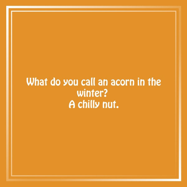 Nutty Wordplay: A Cornucopia of Acorn Puns and Jokes - Punopolis