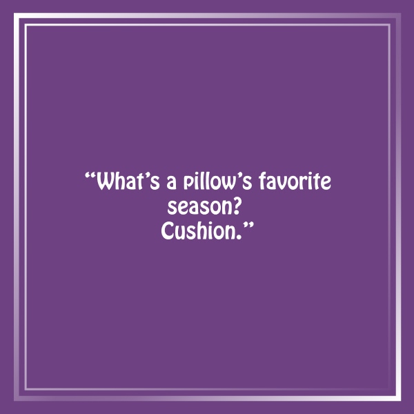 Pillow Talk: The Funniest Puns, Jokes, and Quotes to Fluff Up Your Day ...