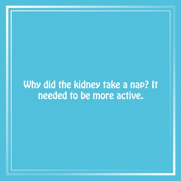 Kidneying Around: Puns, Jokes, and Wordplay That Will Make You Laugh ...