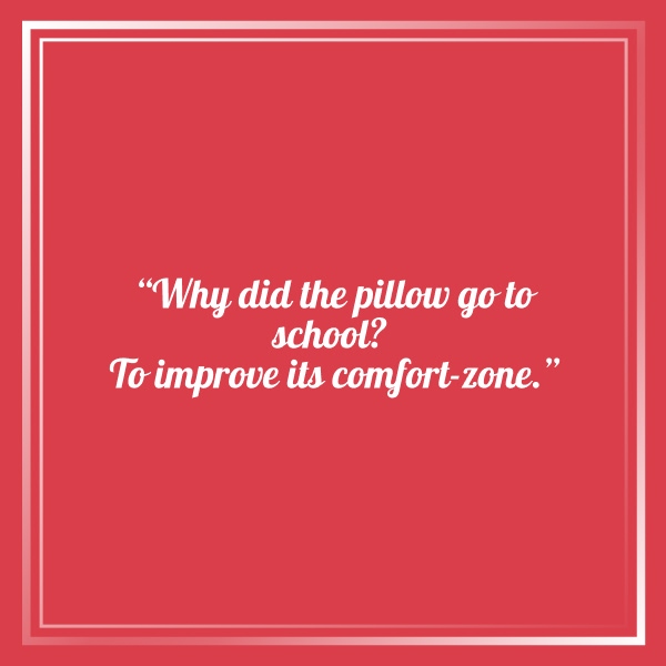 Pillow Talk: The Funniest Puns, Jokes, and Quotes to Fluff Up Your Day ...