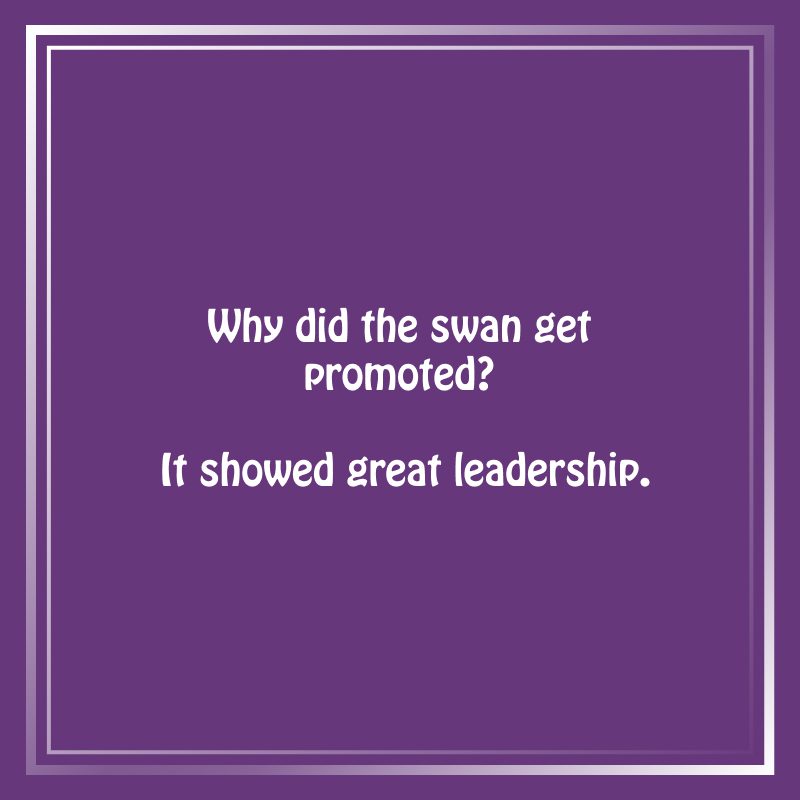 Quack Up with Swan-did Humor: Puns, Jokes, Quotes, and More! - Punopolis