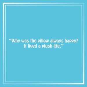 Pillow Talk: The Funniest Puns, Jokes, and Quotes to Fluff Up Your Day ...