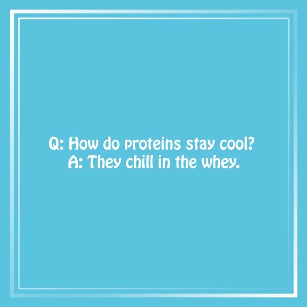 Whey Too Funny: The Ultimate Collection of Protein Puns - Punopolis