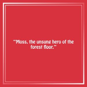 Moss-tastic Laughs: Puns, Jokes, and More! - Punopolis