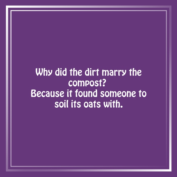 Getting Down and Dirty: Hilarious Puns to Soil Your Sides" - Punopolis
