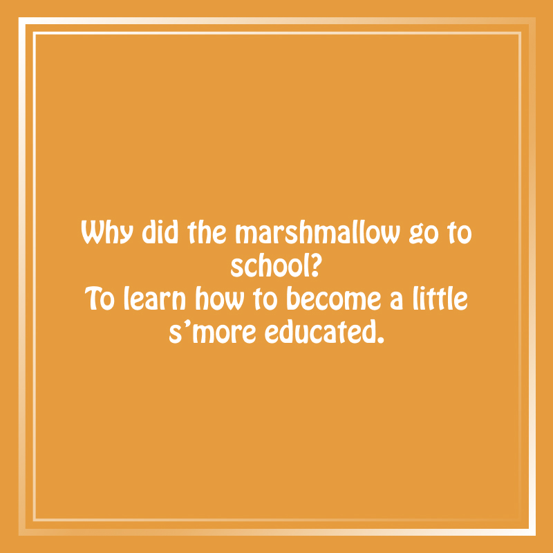 Marshmallow Madness: The Sweetest Jokes, Puns, and Quotes for Laughs ...