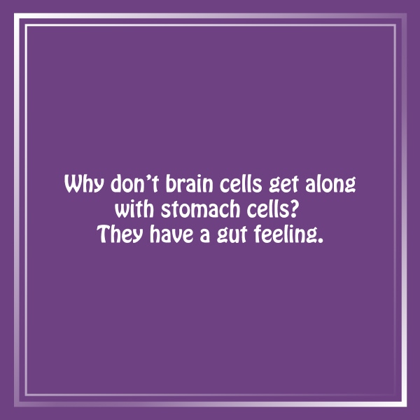 Anatomy of Laughter: Tickling Your Funny Bone with Puns, Jokes, Quotes ...